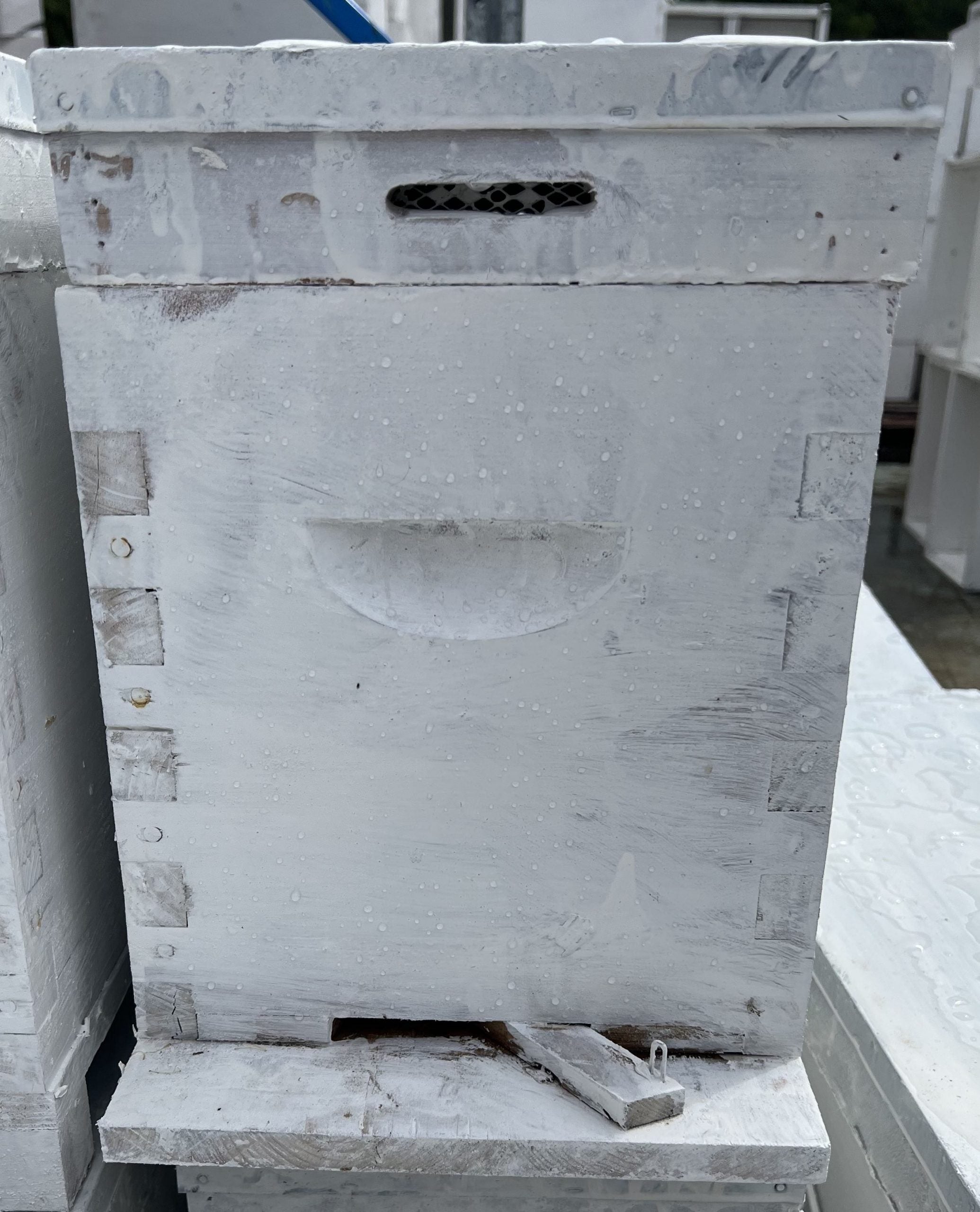 Wooden Nucleus Box | Edmonds Honey